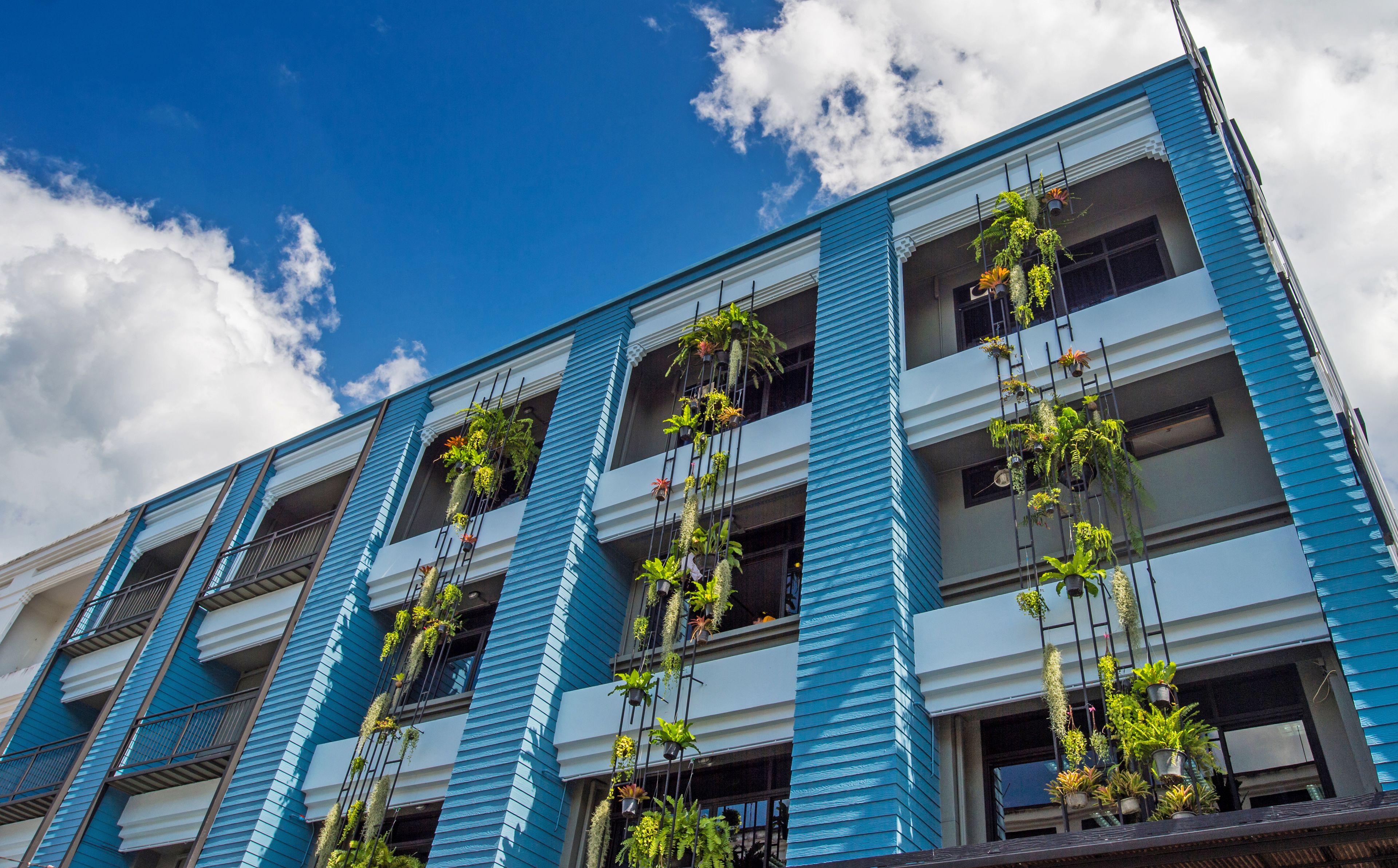 Um edifício com vários andares e varandas decoradas com plantas pendentes.