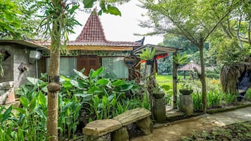 Joglo with rice field view | Vista do quarto