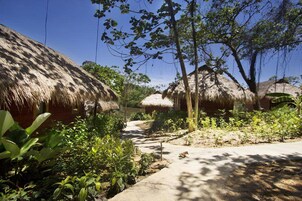 Terrenos do alojamento