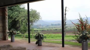 Terraço/pátio interior
