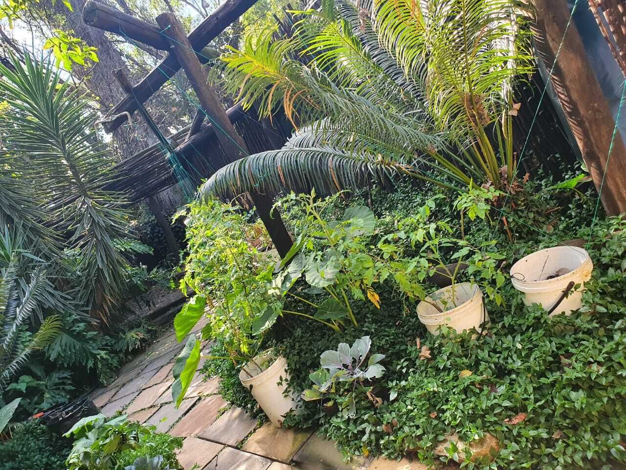 Jardim