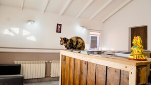 Um quarto com escrivaninha de madeira, um gato e uma estátua dourada.
