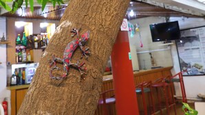 Uma árvore com uma escultura decorativa de inseto, uma área de bar com garrafas e uma televisão ao fundo.