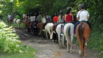 Um grupo de pessoas a cavalgar por um trilho de terra, rodeado por vegetação.