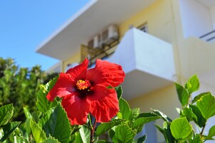 Uma flor de hibisco vermelha em frente a um edifício com fachada branca e sacadas.