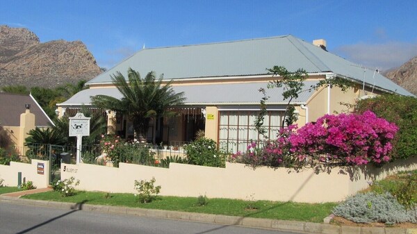 Squirrels Corner - Montagu