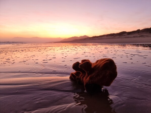 Na praia, praia de areia branca, guarda-sóis de praia, toalhas de praia 