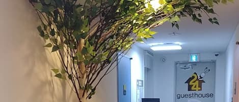 Detalhe da parte interna