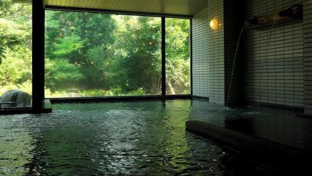 Piscina interior moderna com vista para vegetação exuberante.