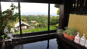 Quarto com uma grande janela com vista para uma área residencial, um pequeno elemento aquático no interior e plantas em vasos numa estante.