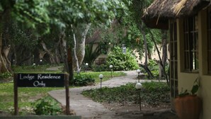 Uma trilha conduz a um alojamento com telhado de palha, rodeado por vegetação exuberante e uma placa com a inscrição 'Apenas Hóspedes do Alojamento'.