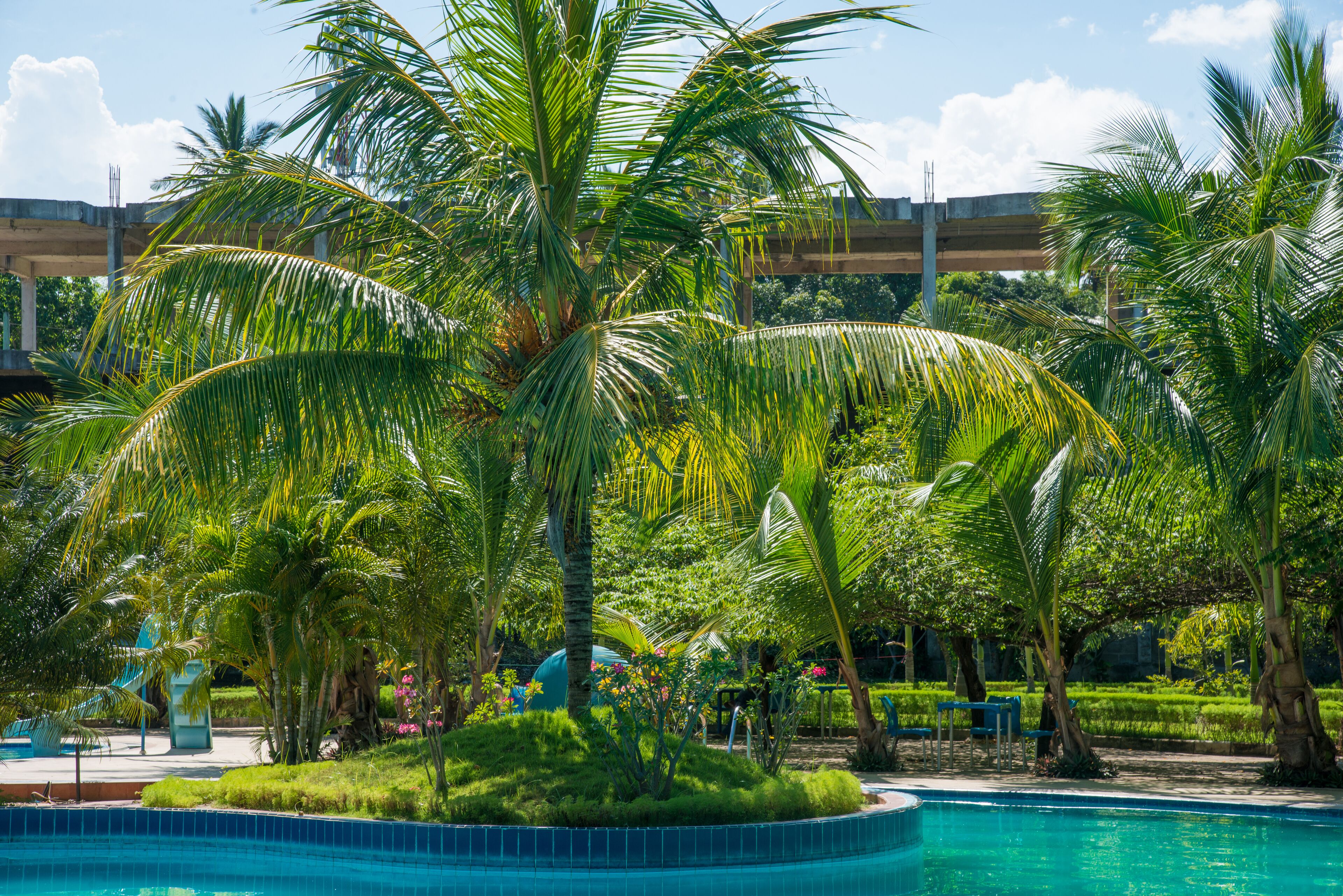 Piscina exterior 