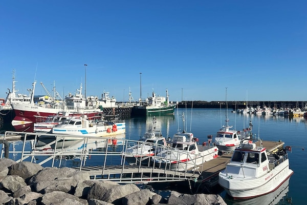 Terraço/pátio interior