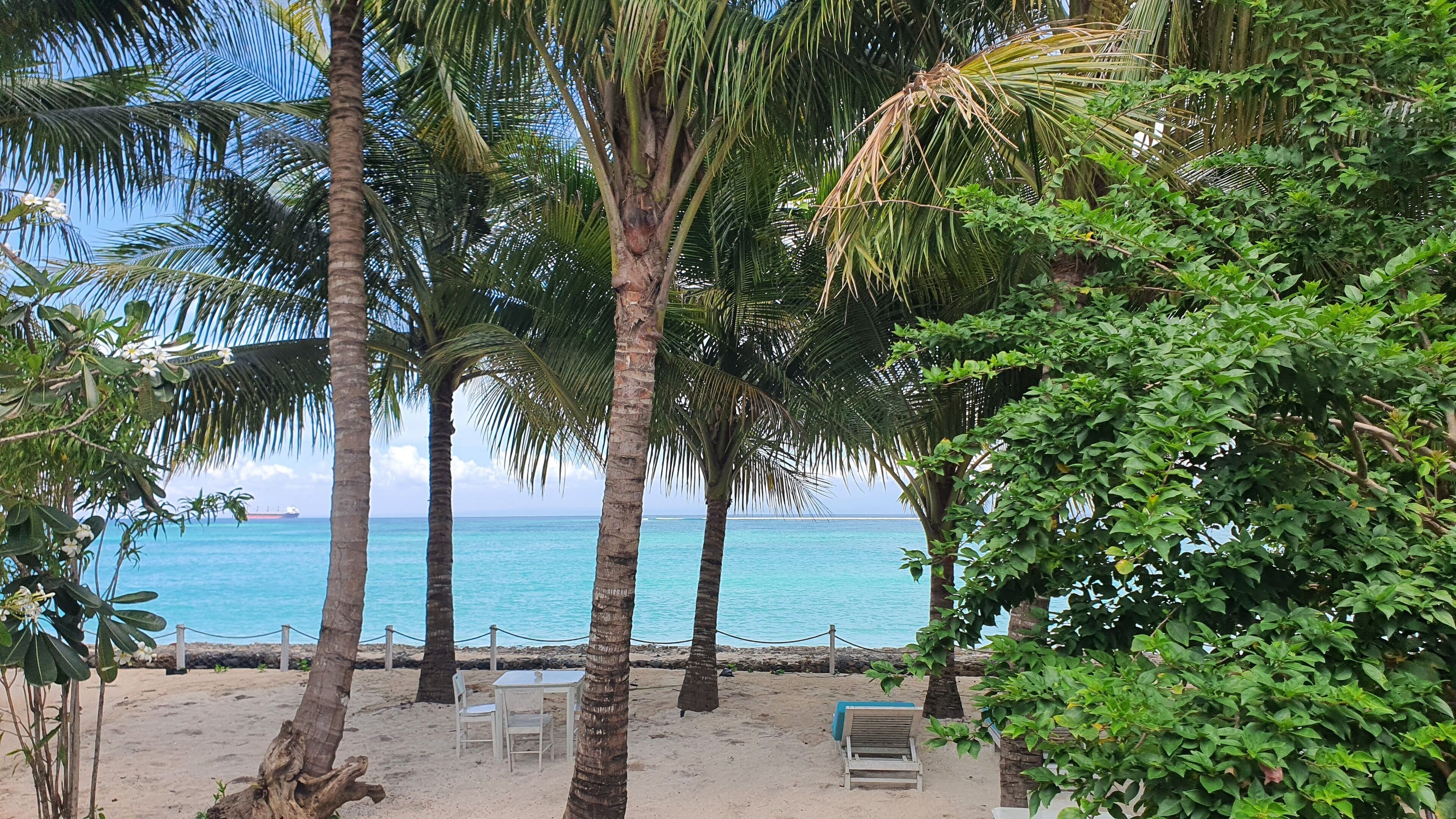 Café da manhã, almoço e jantar; local e internacional 