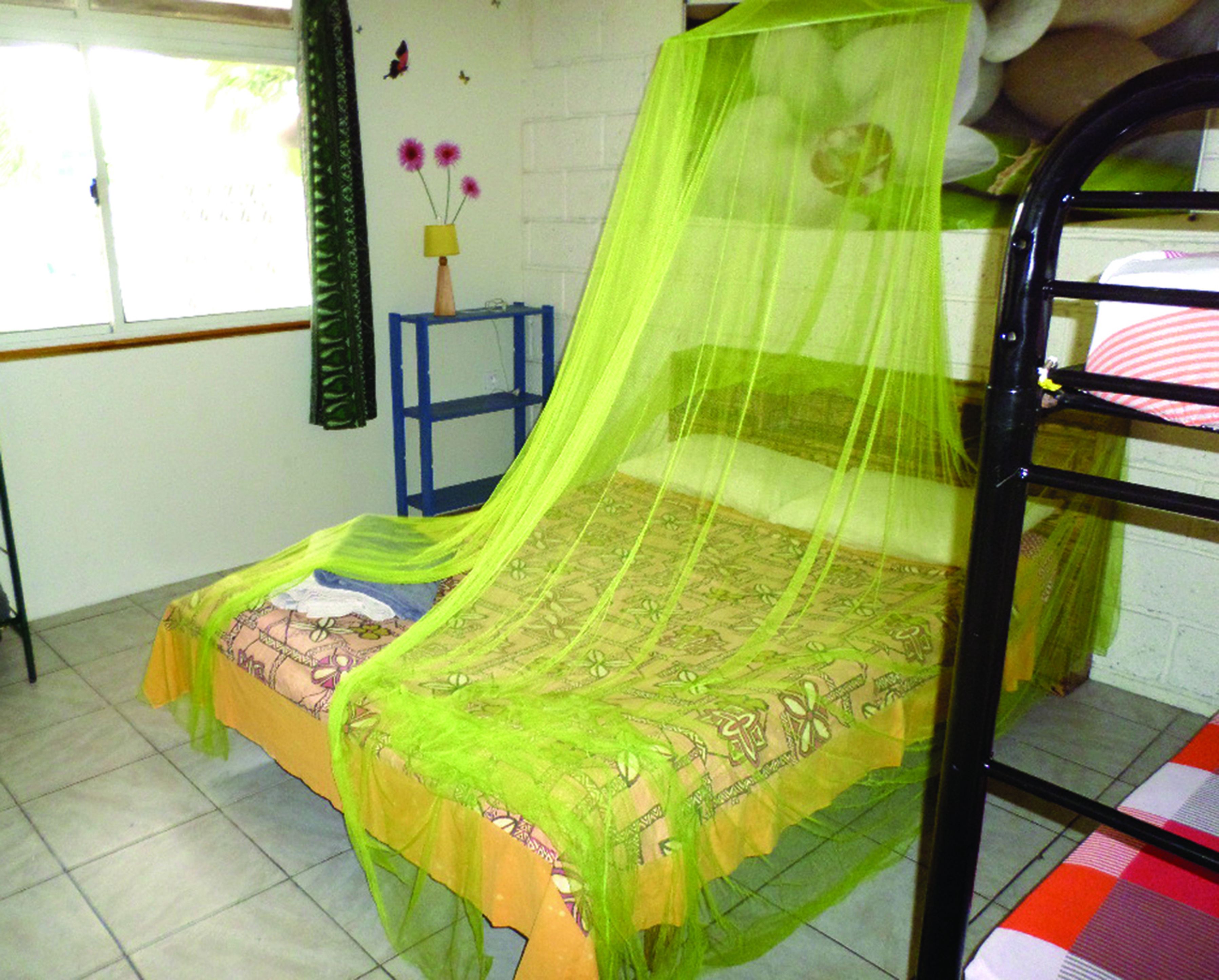 Uma cama beliche com dossel verde, uma mesinha azul pequena e um vaso com flores na parede.