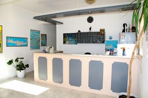 Recepção