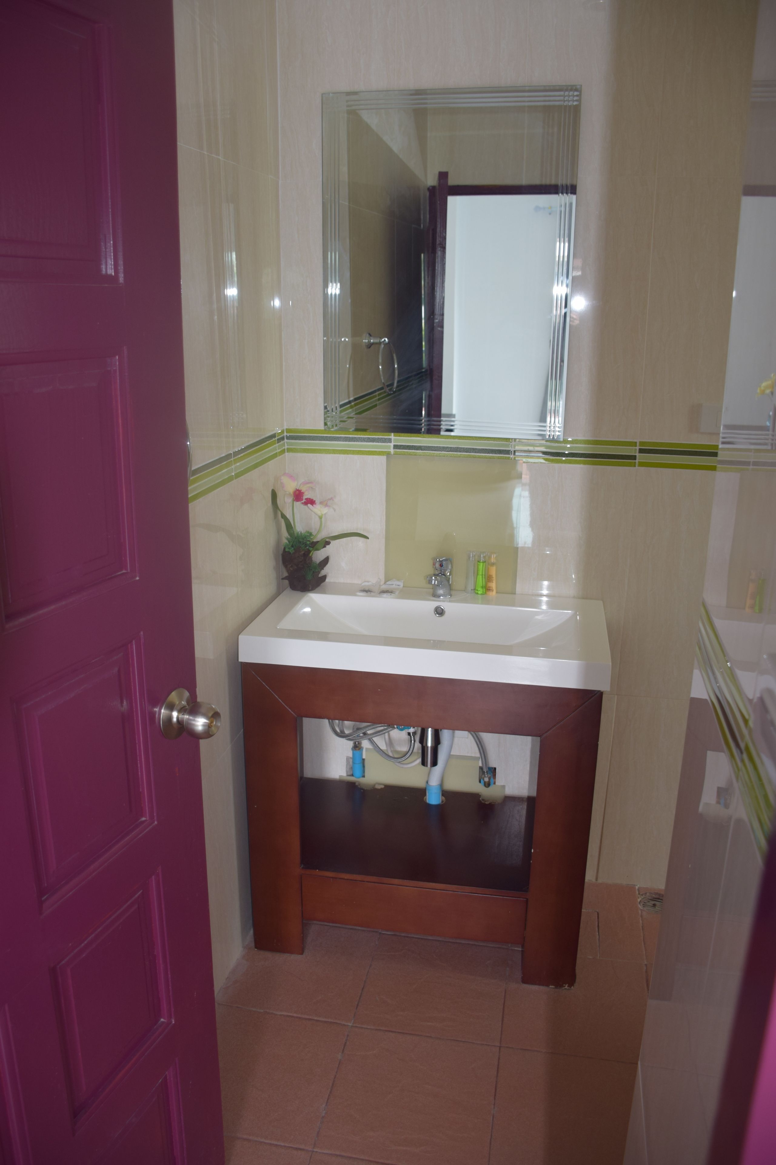 Um banheiro com porta rosa, pia branca, espelho sobre a pia e uma planta em vaso no balcão.