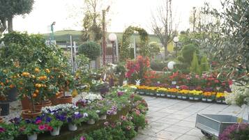 Terrenos do alojamento