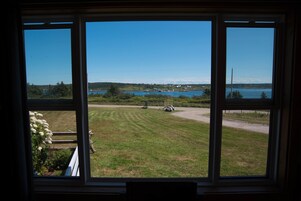 Vista pela janela de uma área gramada com um lago e edifícios ao longe.