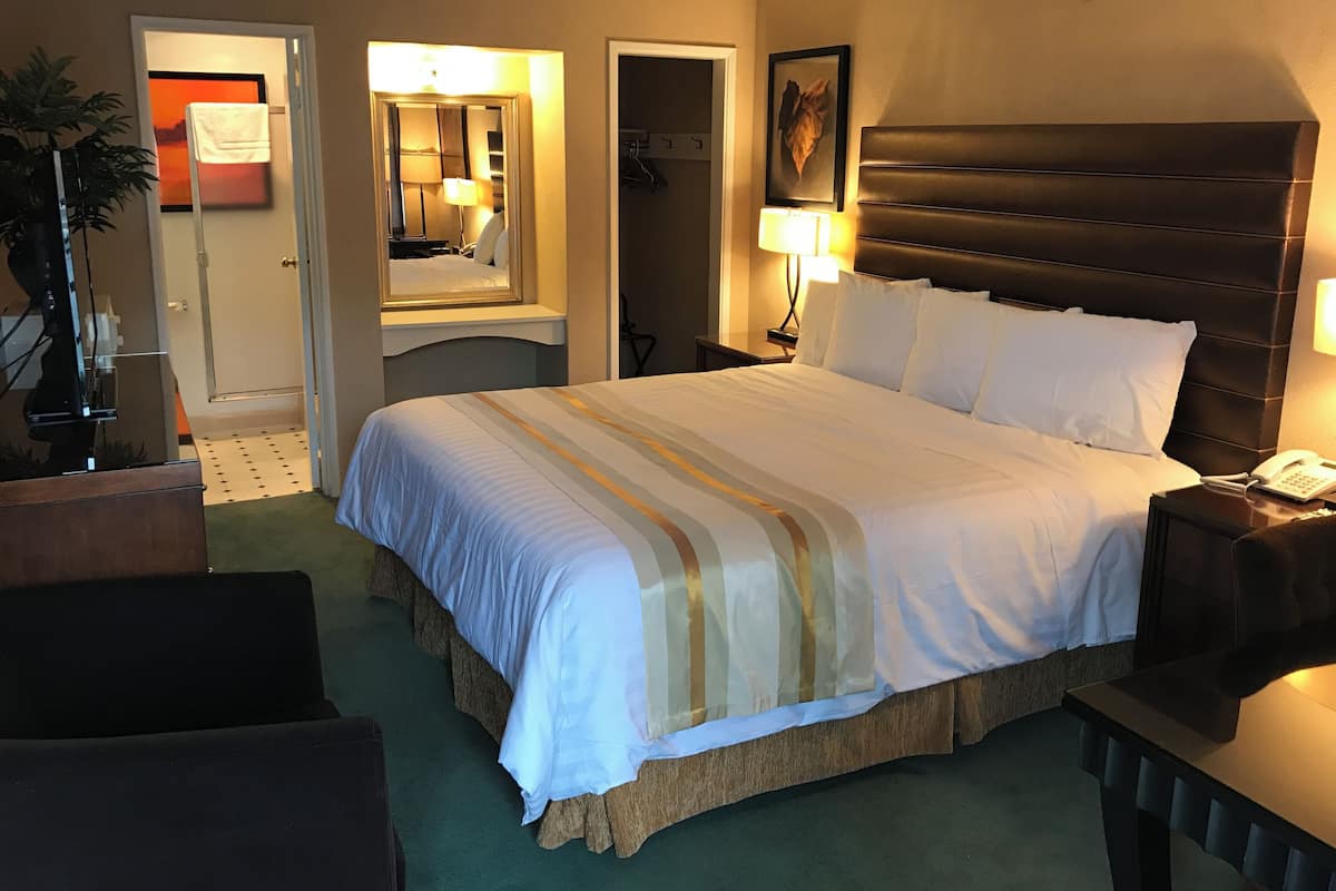 Quarto de hotel com uma cama grande, mesa de cabeceira com abajur, espelho, guarda-roupa e uma planta.