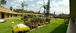 Vista para o jardim
