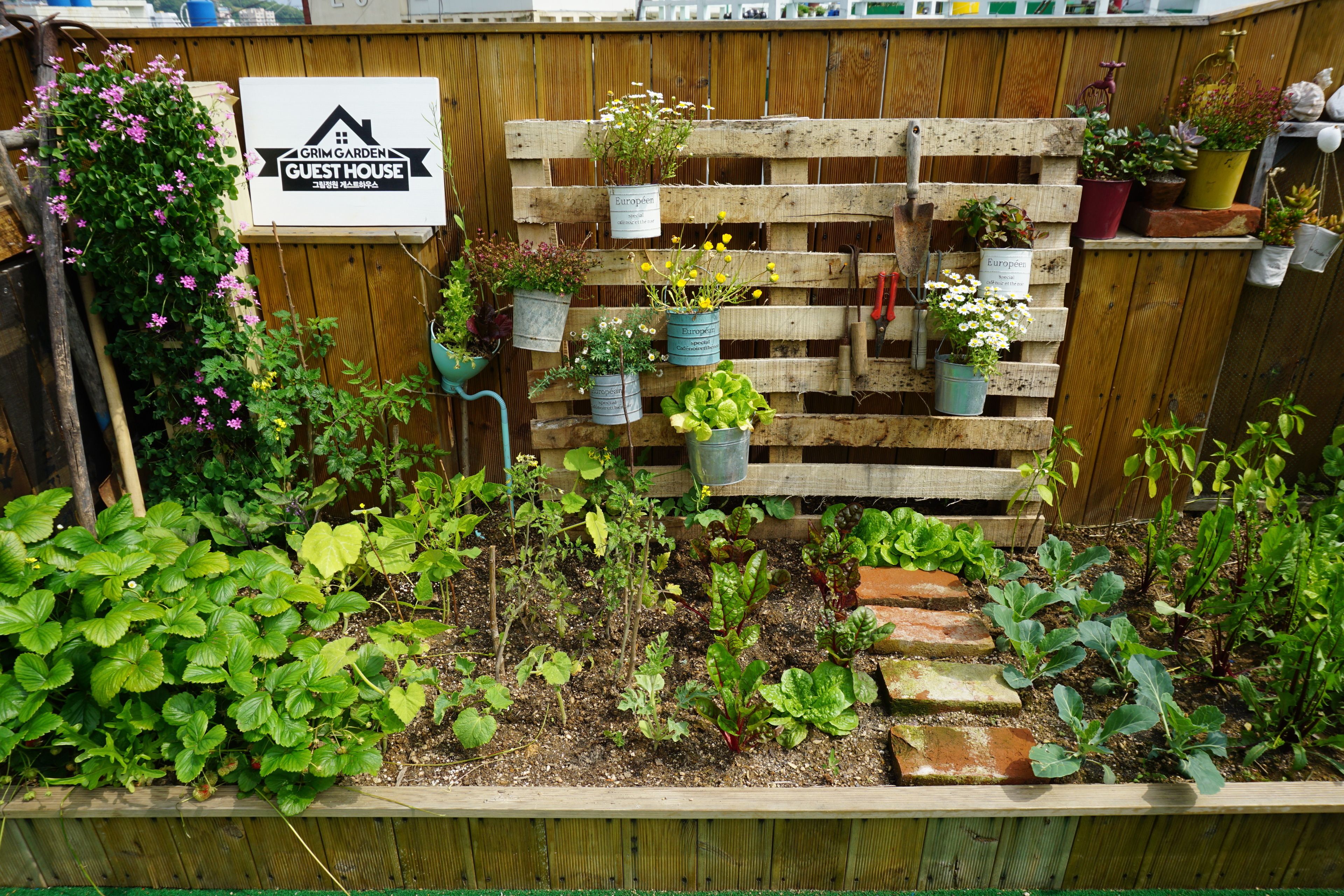 Terraço/pátio interior