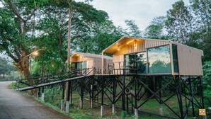 Uma casa na árvore moderna com fachada de madeira e paredes de vidro, erguida sobre pilares, em meio a vegetação exuberante.