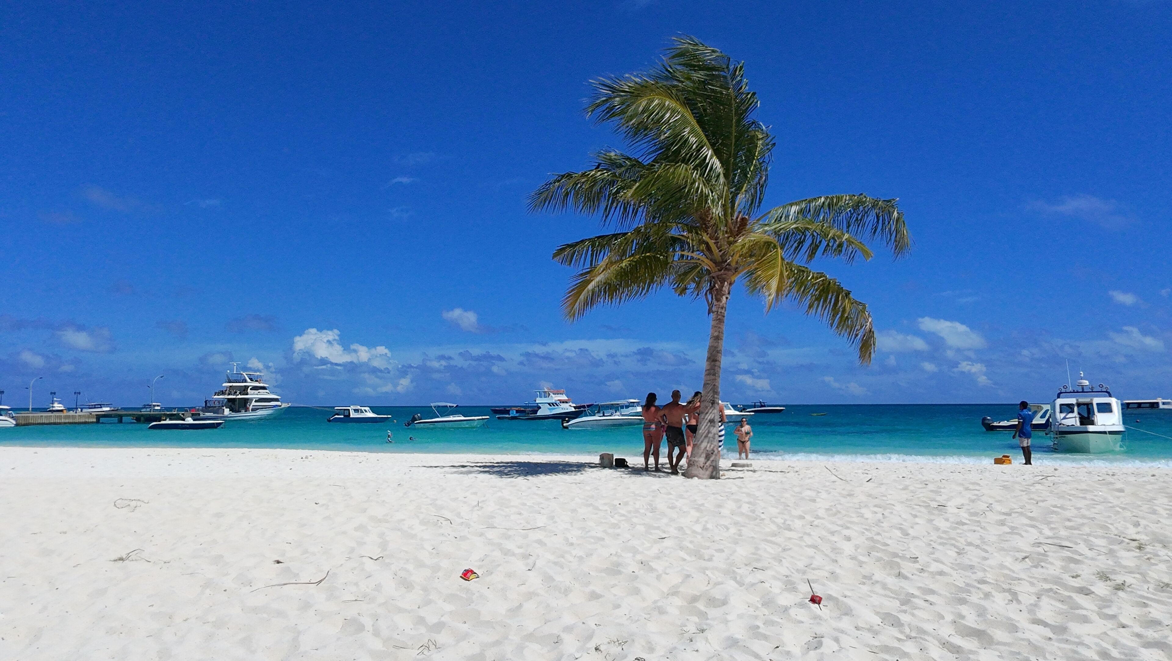 Uma praia com uma palmeira, céu azul límpido e vários barcos na água.
