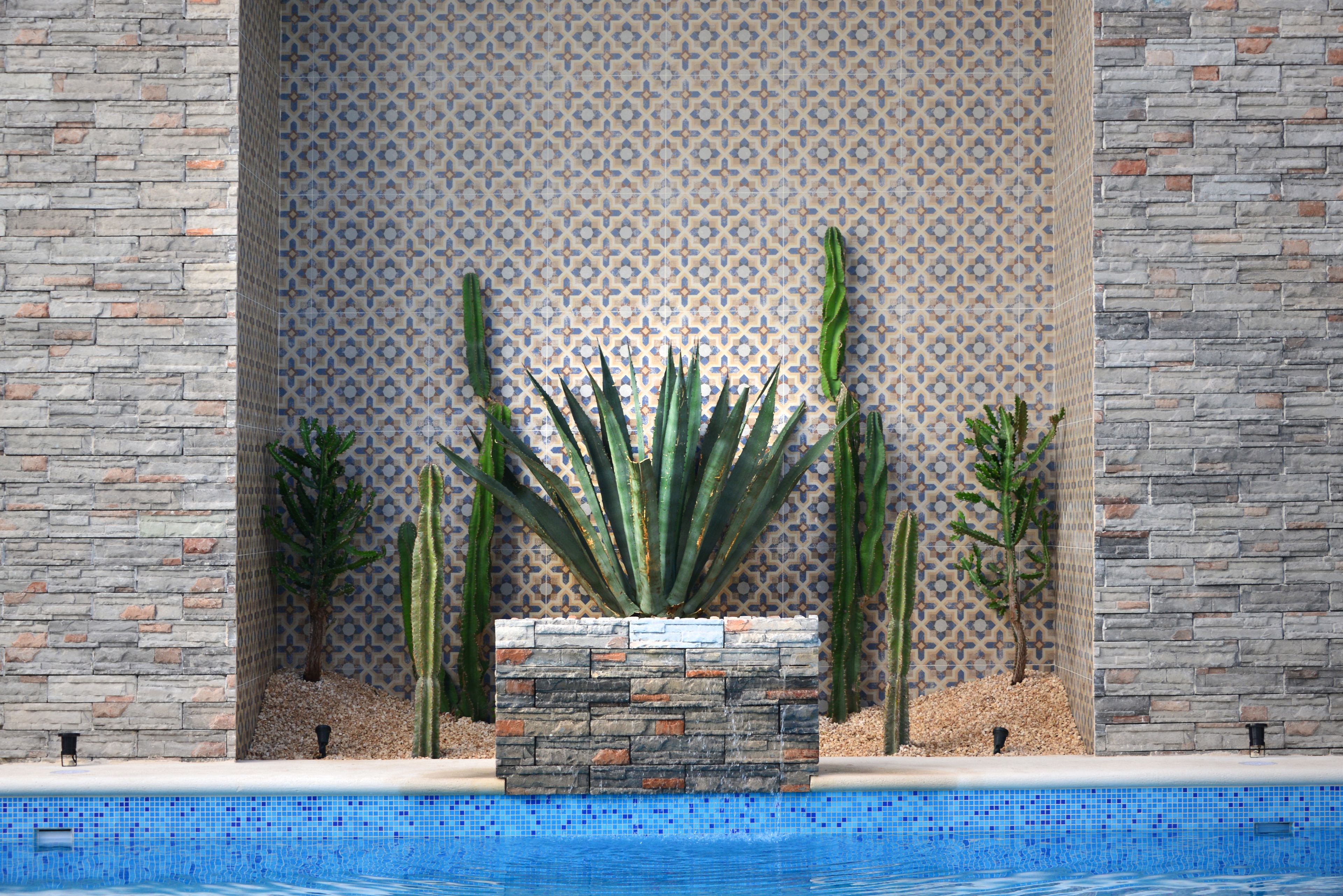 Uma área de piscina com um vaso de pedra, cactos e uma parede estampada.