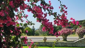 Um jardim com flores cor-de-rosa, uma parede de pedra e um espaço pavimentado.