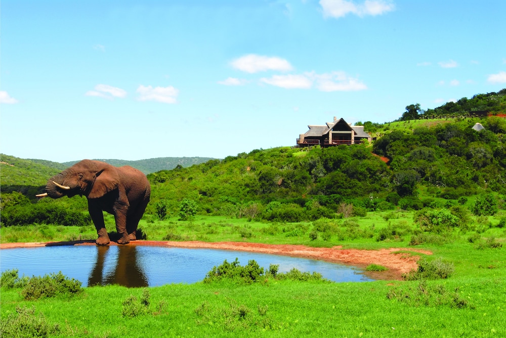 Hopewell Private Game Reserve - Western Cape
