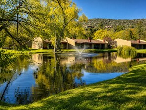 Um lago calmo com patos, rodeado por vegetação exuberante e edifícios modernos.