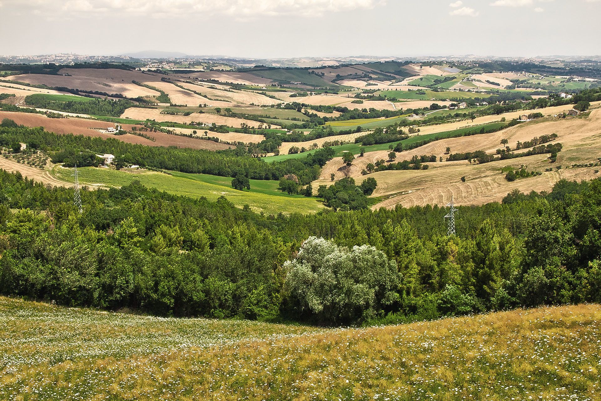Uma vista panorâmica de uma paisagem montanhosa com campos, árvores e uma cidade ao longe.