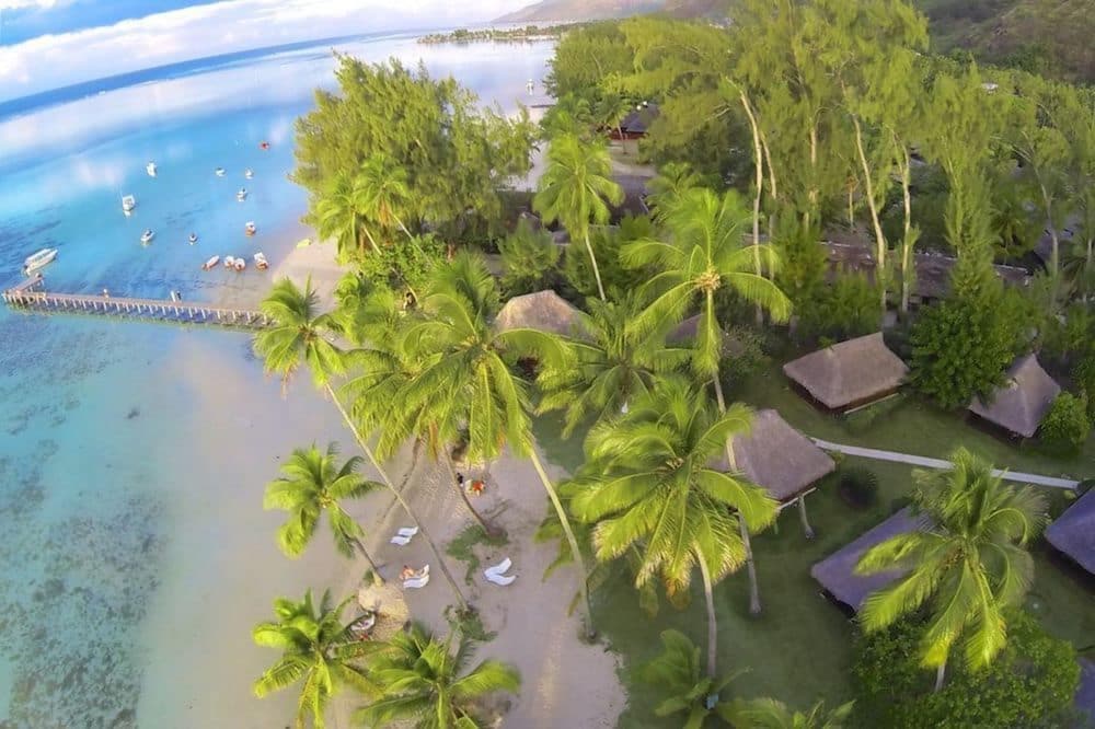 Les Tipaniers - French Polynesia