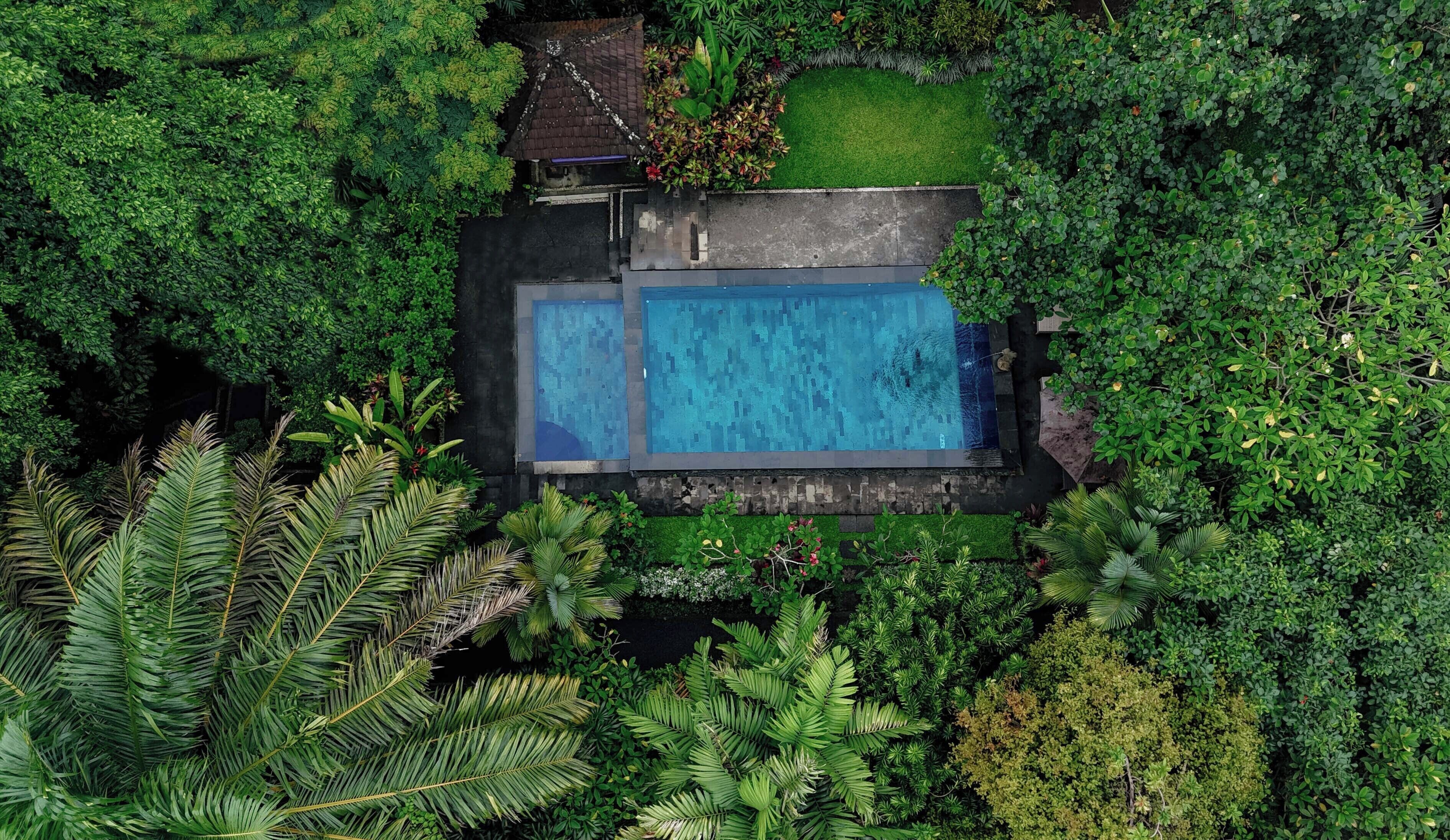 Vista aérea de uma piscina retangular rodeada por vegetação densa, com uma pequena estrutura ao lado.