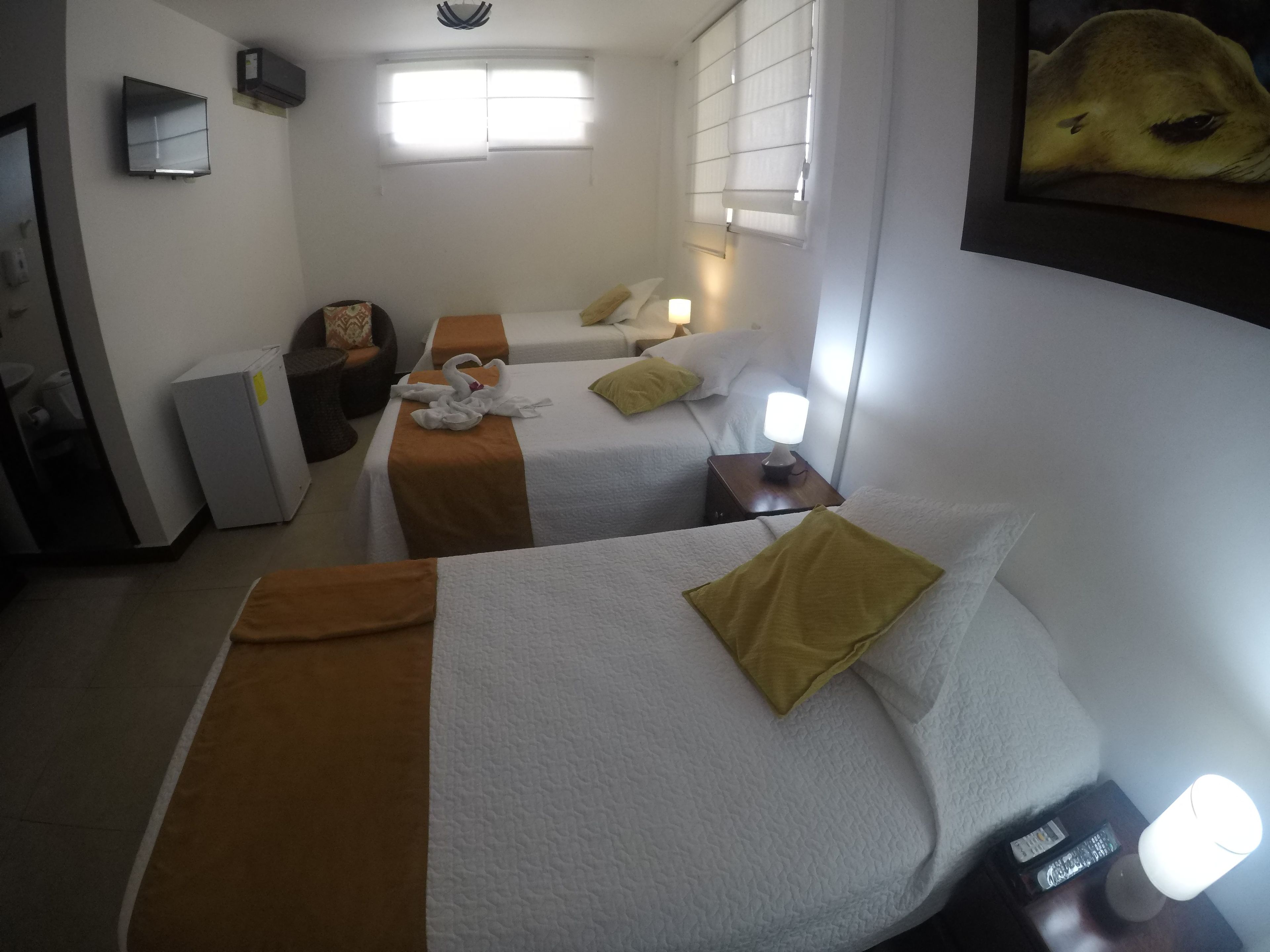 Quarto de hotel com duas camas, uma escrivaninha, uma cadeira, uma televisão e janela com persianas.
