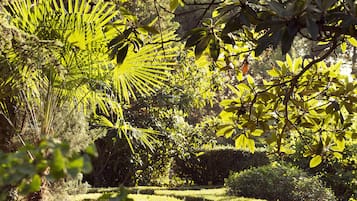 Jardim