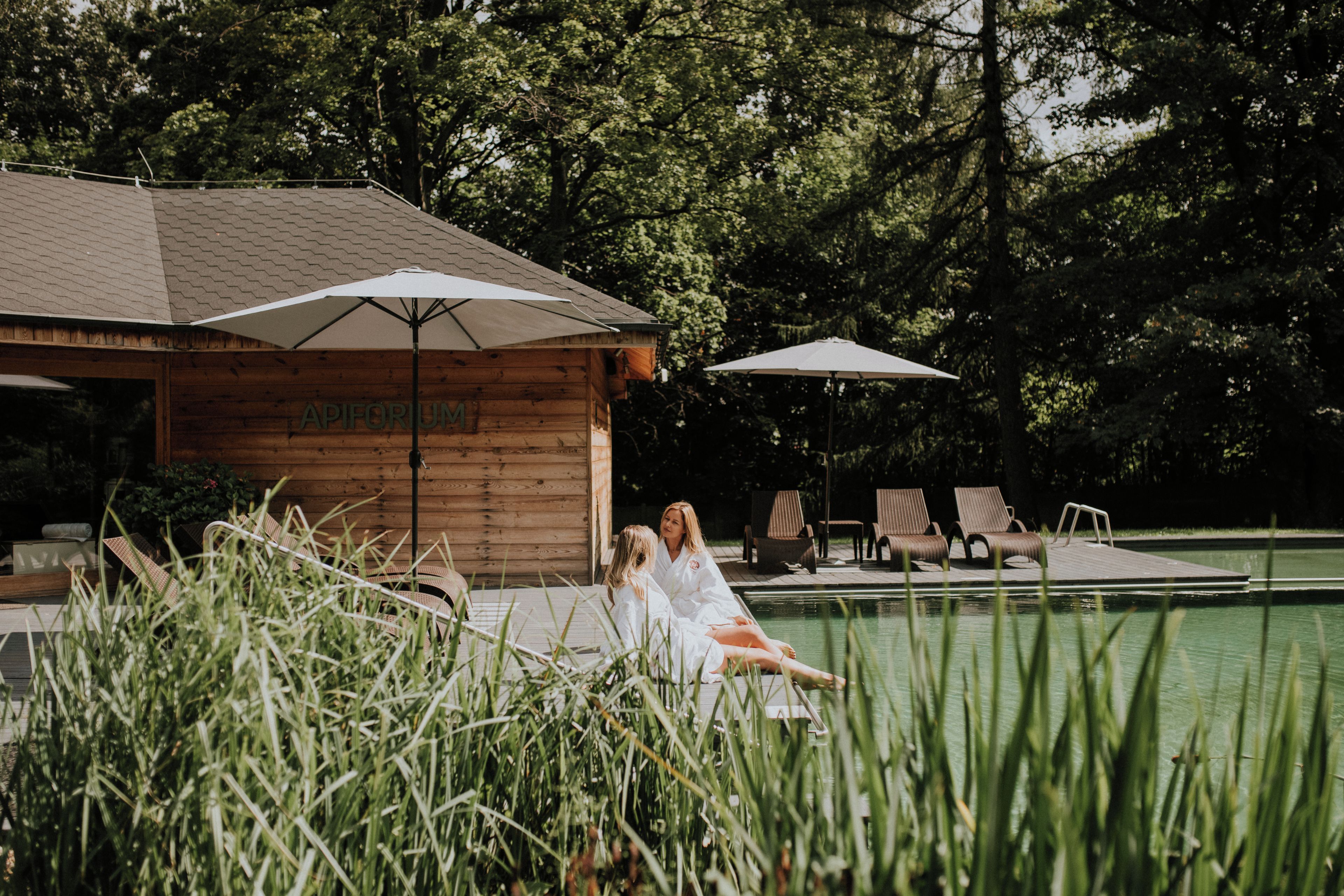 Uma cabana de madeira com piscina, rodeada por vegetação exuberante.