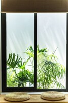 Janela com vista para plantas verdes.