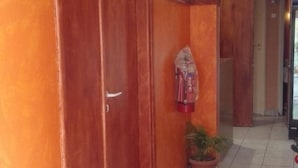 Um corredor com uma porta de madeira, uma planta em vaso e uma toalha pendurada na parede.