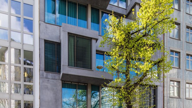 Um edifício moderno com vários andares, janelas amplas e uma árvore na frente.