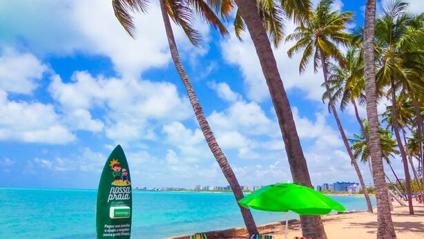 Uma praia com palmeiras, um guarda-sol verde e cadeiras de praia.