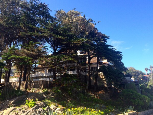 Casa Wilson - Zapallar