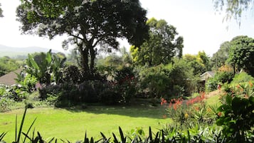 Suite-Estúdio Superior, 1 quarto, vista para o jardim, junto ao jardim (Room 5) | Vista para o jardim