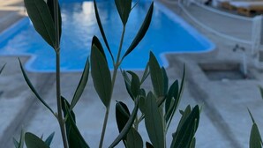 Área da piscina com vista clara dos edifícios ao redor e uma planta em primeiro plano.