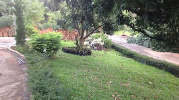 Jardim