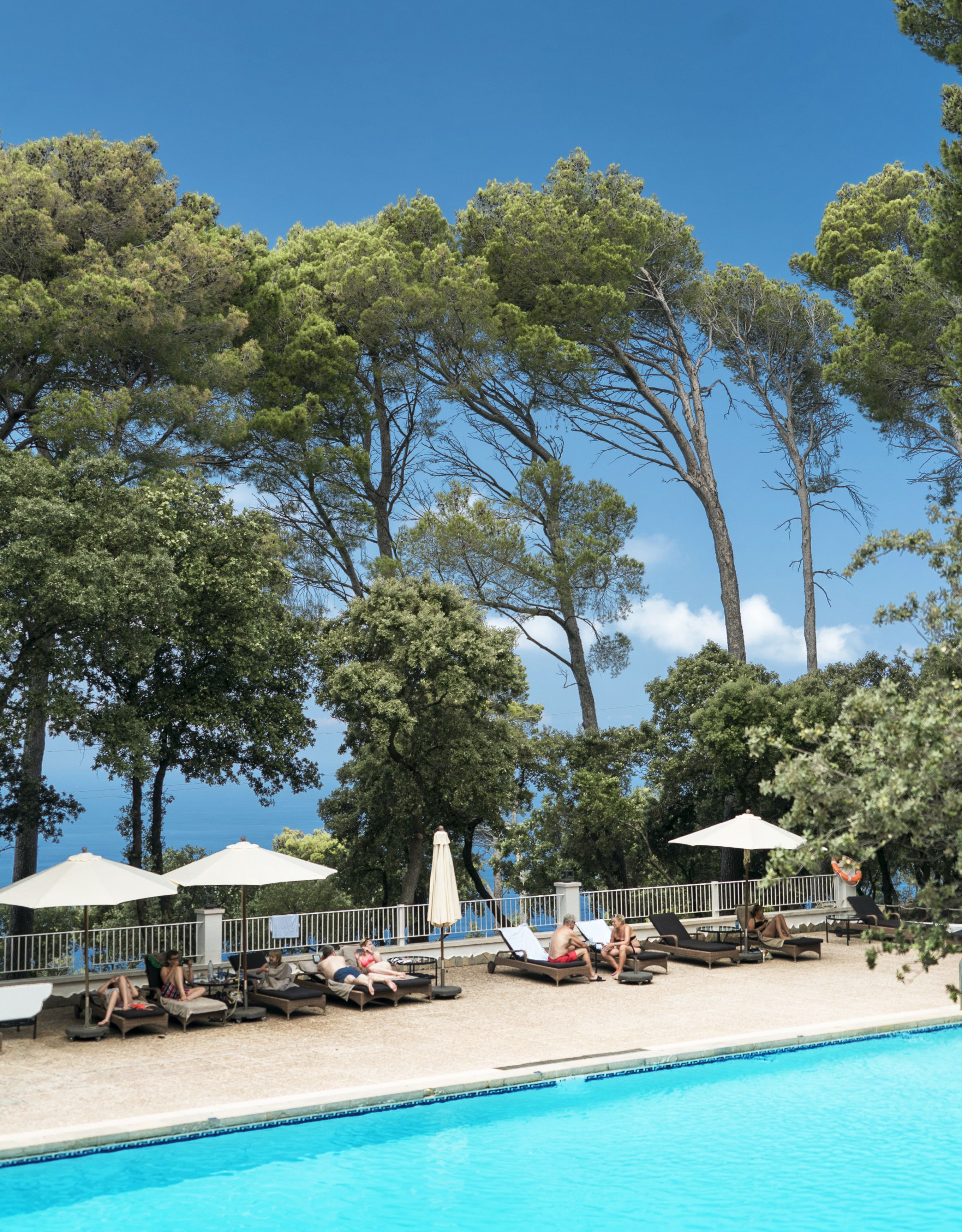 Área de piscina com espreguiçadeiras e guarda-sóis, cercada por árvores e um céu claro.