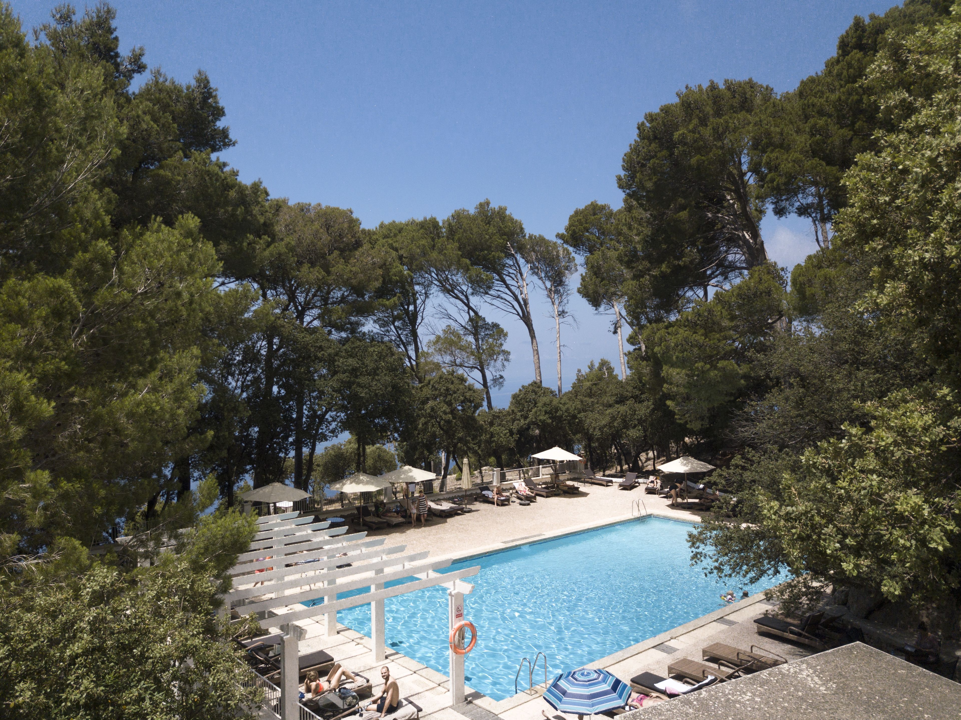Piscina rodeada por árvores, com espreguiçadeiras e guarda-sóis.