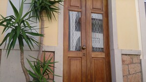 Uma porta de madeira com painéis de vidro e um vaso de planta ao lado.