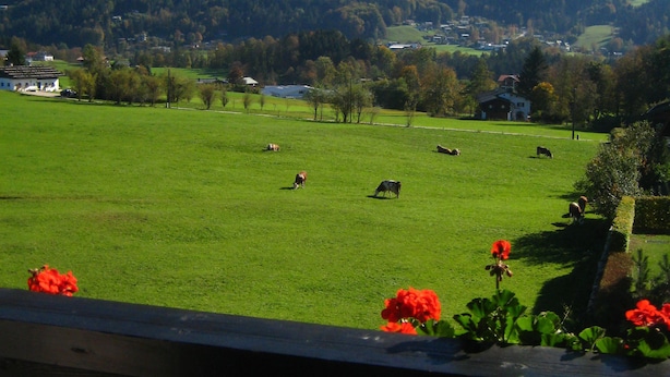 Vista panorâmica de um campo verde com vacas pastando, uma cordilheira ao fundo e uma casa com telhado vermelho.